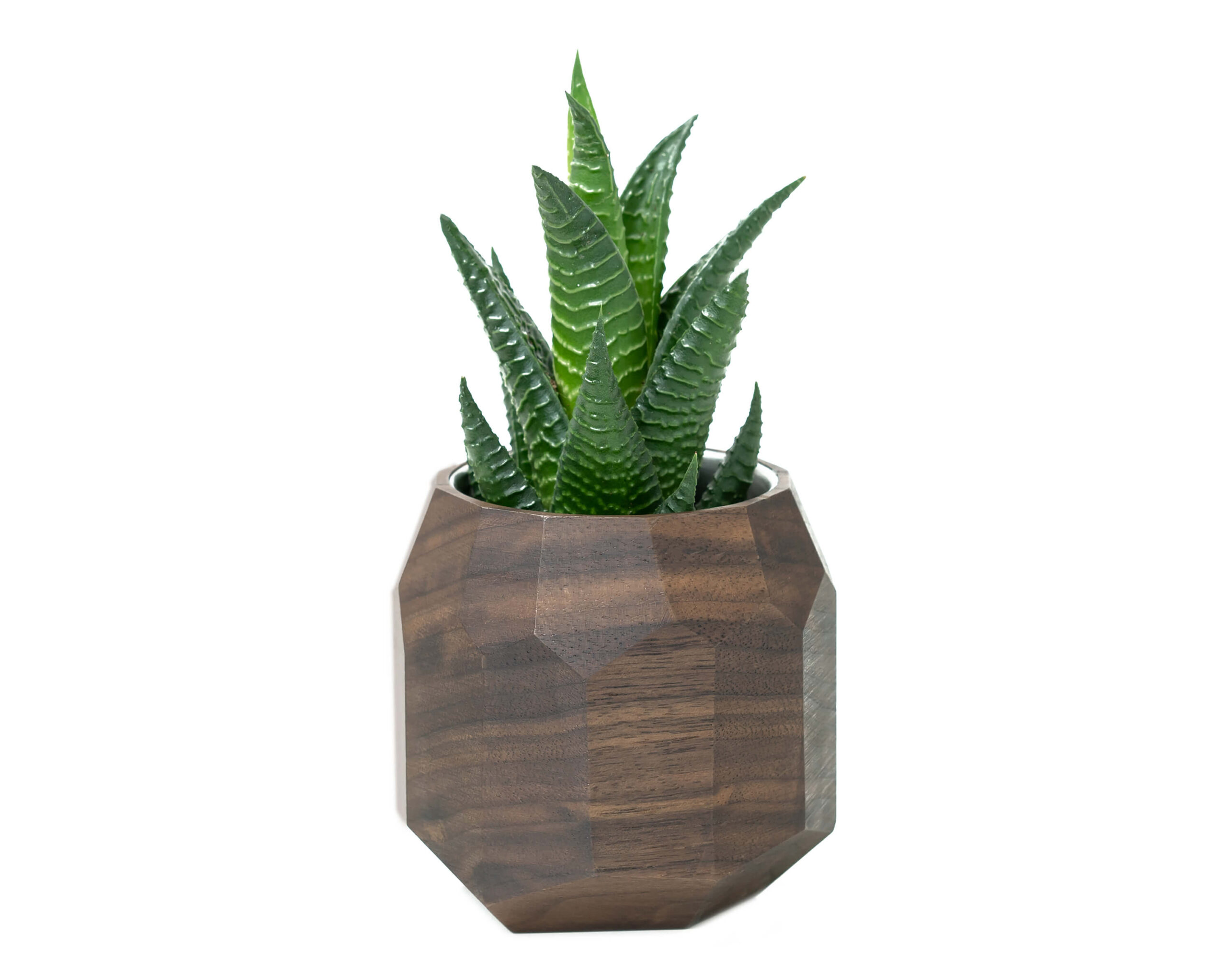 Geometric Planter - Walnut - Wooden Amsterdam