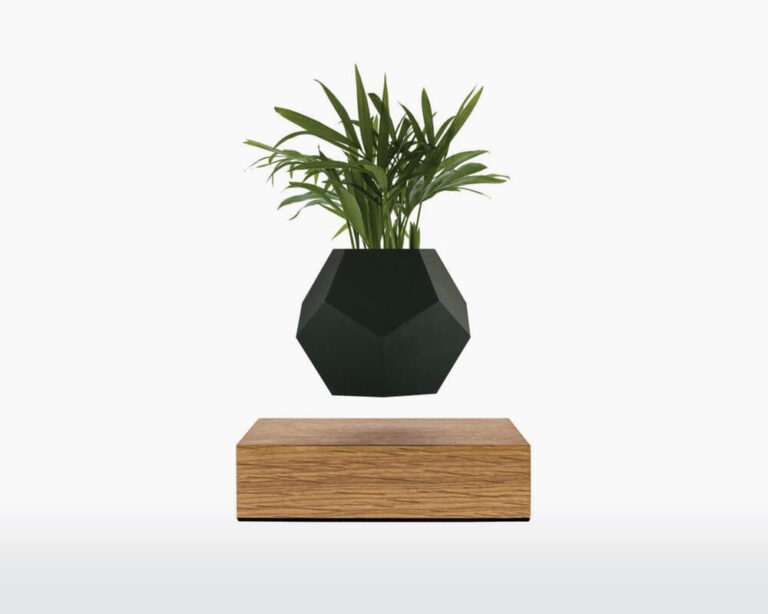 Flyte Royal - Oak Wood - FLYTE