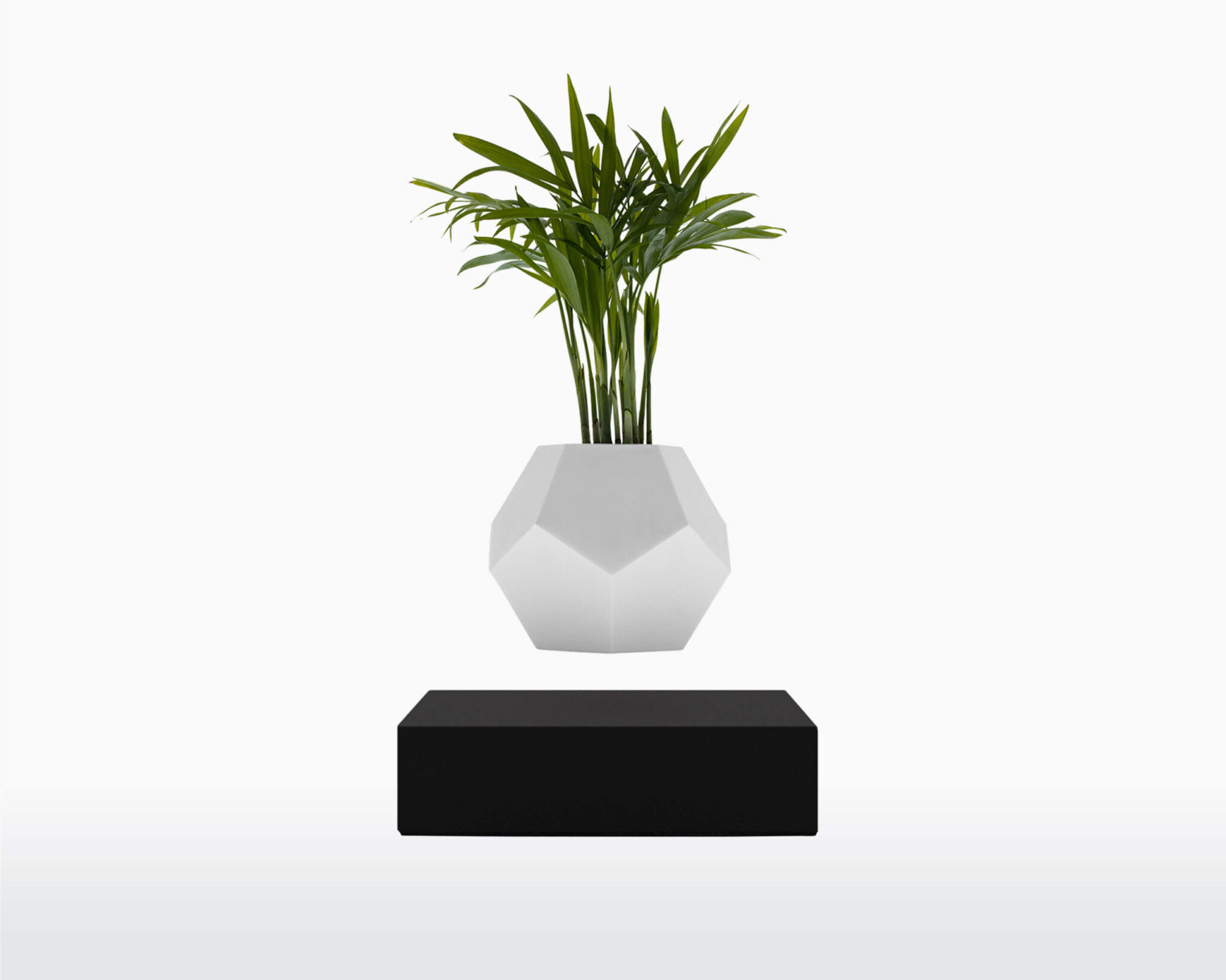 LYFE Levitating Planter - Black - Wooden Amsterdam