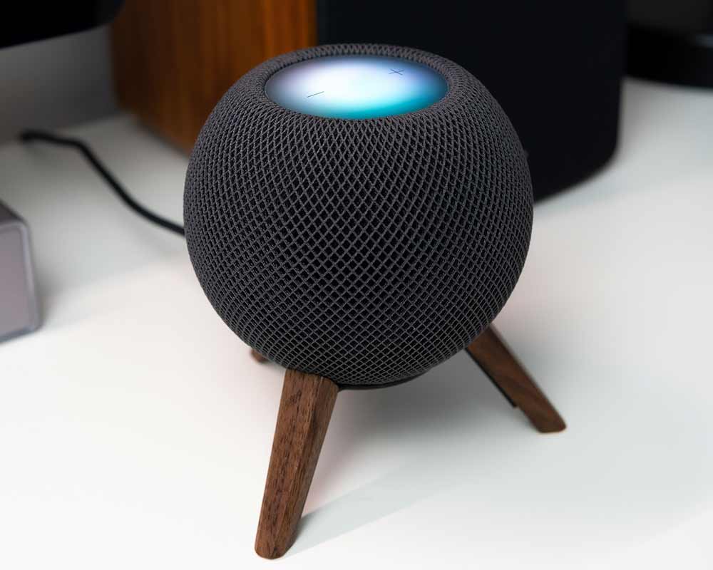 Discover Balolo at Wooden Amsterdam