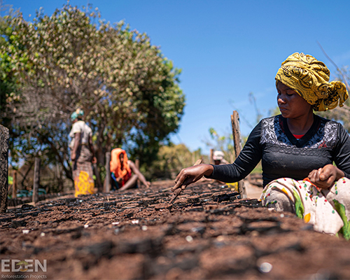 Sustainability - 1 million trees by 2030 - Wooden Amsterdam