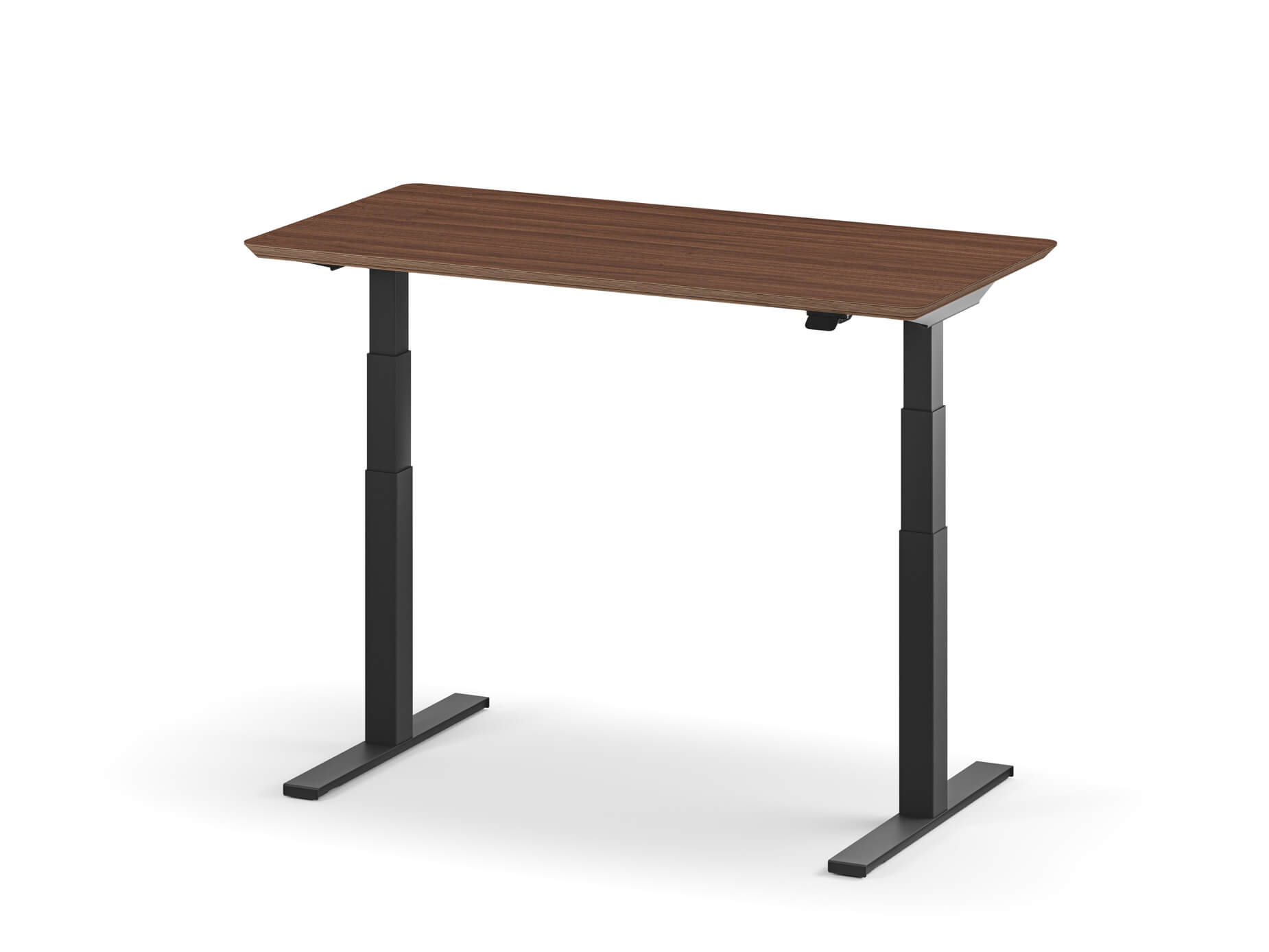 Stand Up Desk